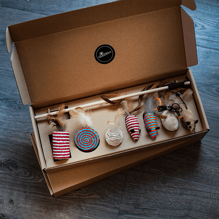 HOLIDAY & GIFT IDEAS – GUUD Products